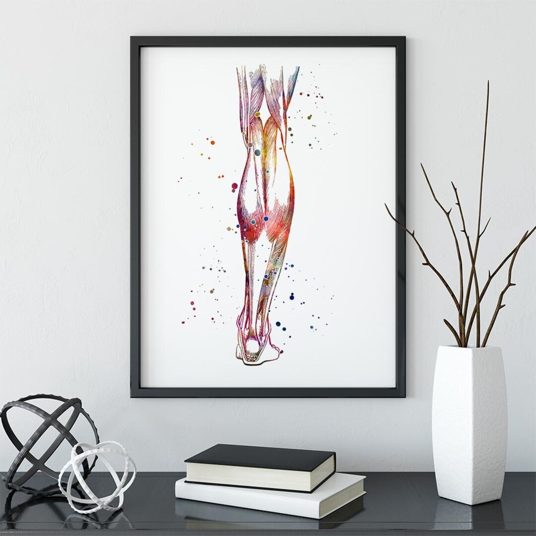 Human Leg Anatomy Art Print, Physiotherapist Office Decor, Multicolored ...
