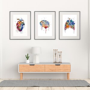 Doctor Office Decor, Anatomy Watercolor Set of 3 Art Prints, Human ...