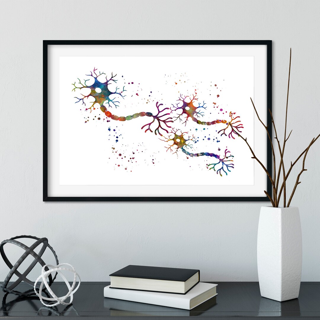 Neuroscience Poster, Connexion of Neurons Nerve Impulse Watercolor ...
