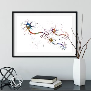 Neuroscience Poster, Connexion of Neurons Nerve Impulse Watercolor ...
