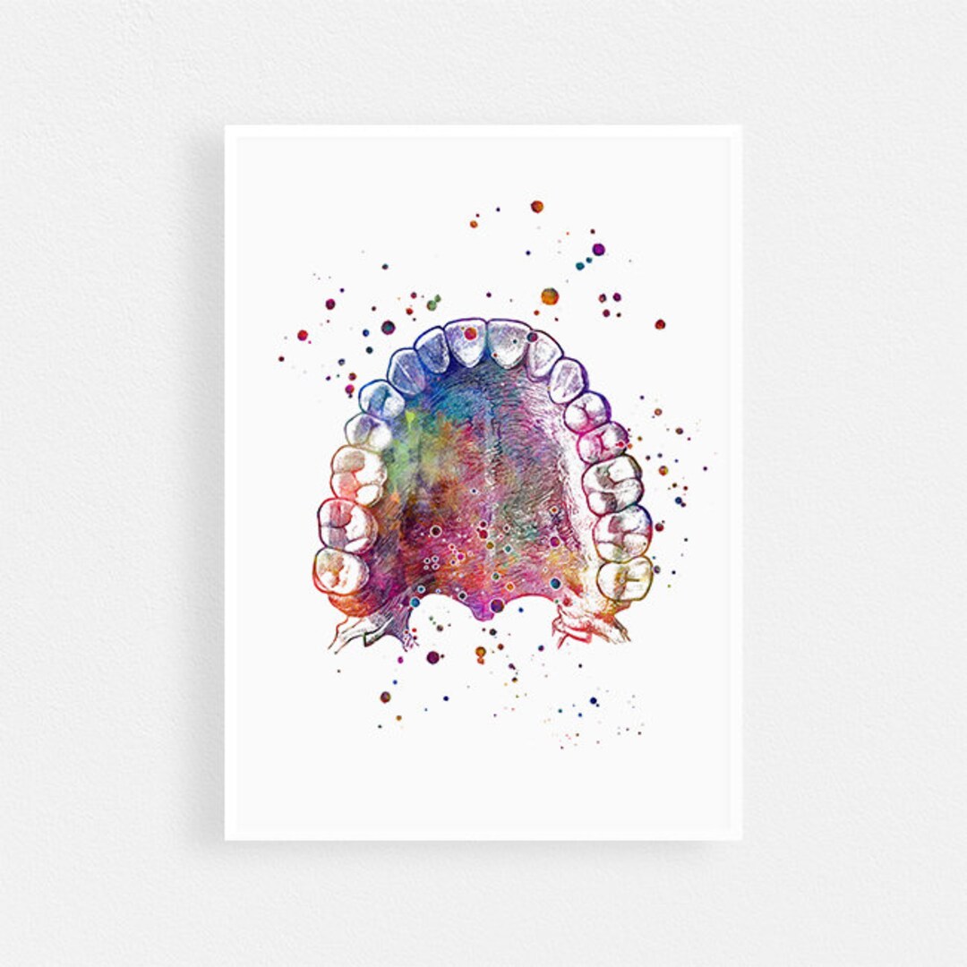 Dental Art | Mouth Tooth and Palate | Watercolor Print for Dental ...
