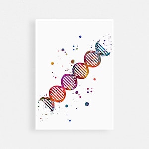DNA Watercolor Print Science Wall Art Genetics Professor Office Decor ...