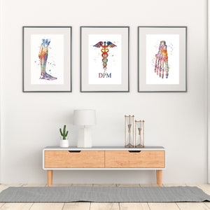 Podiatrist Gifts, Foot Anatomy Art Watercolor Prints, Podology Office ...