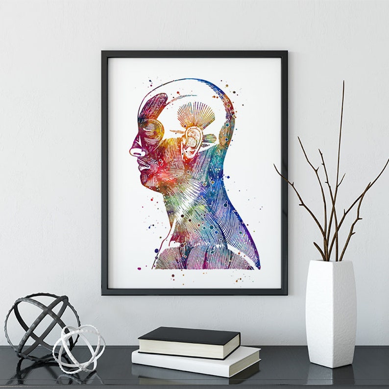 Human Head and Neck Anatomy Art Print Face and Neck Muscles | Etsy