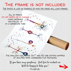 Neuroscience Art, Types of Neurons Watercolor Print, Nerve Cells ...