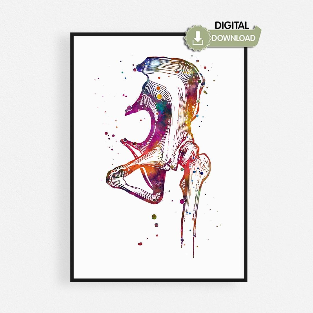 Hip Joint Anatomy Printable, Orthopedic Wall Art, Physical Therapy ...