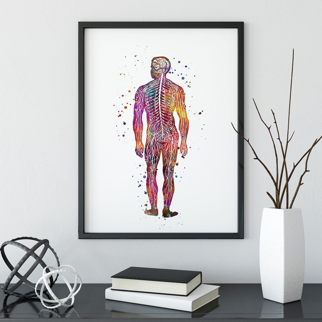 Nervous System Art Poster, Human Body Anatomy Watercolor Print ...