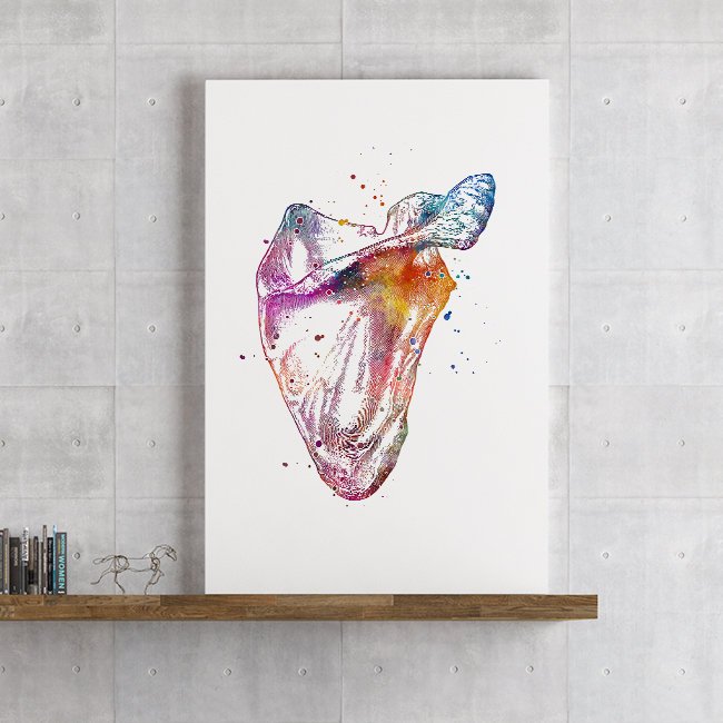 Scapula Watercolor Print Anatomy Art Doctor Orthopedic Surgeon | Etsy