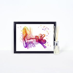 Human Ear Anatomy Watercolor Print - Etsy