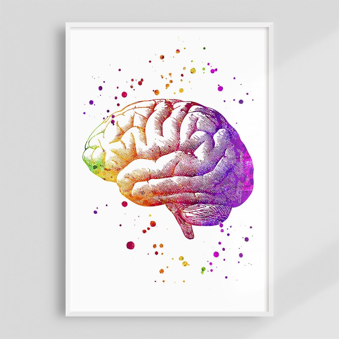 Human Brain Watercolor Art Print, Neurology Clinic Wall Decor, Vibrant ...