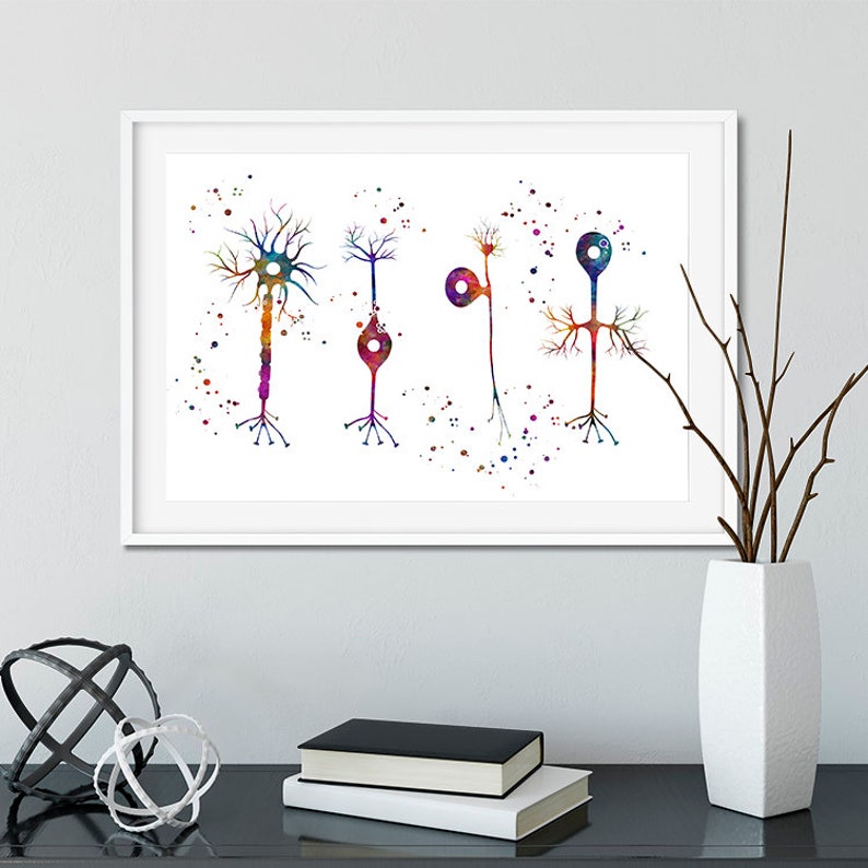 Neuroscience Art Types of Neurons Watercolor Print Nerve Cells | Etsy