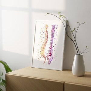 Spinal Column, Human Spine Anatomy Art Watercolor Print, Vertebral ...