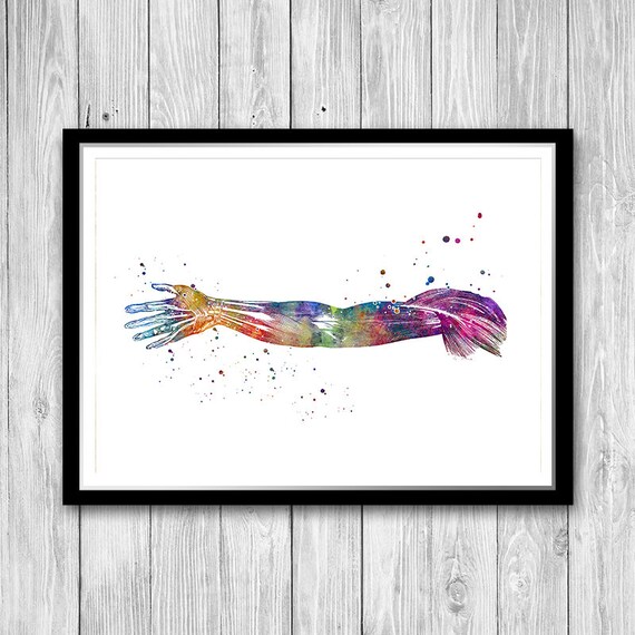 Wall Décor Prints Human Hand Muscles Arm Anatomy Art Watercolor Print ...