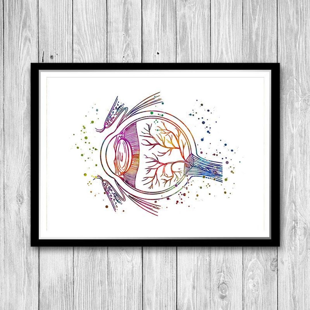 Eye Anatomy Poster Watercolor Print Gift for Eye Doctor Office Decor ...