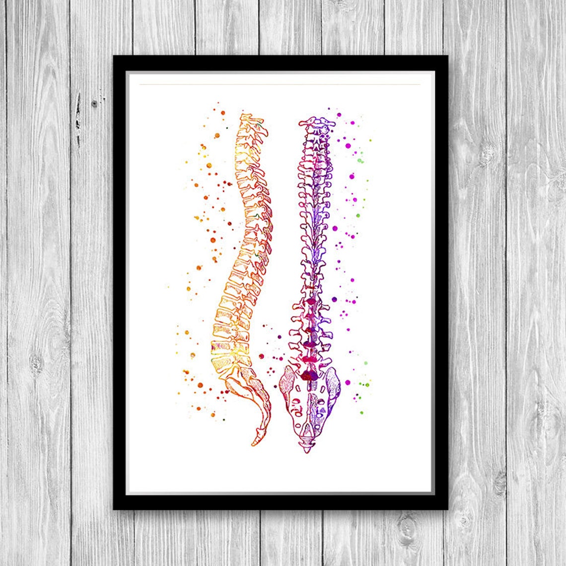 Spinal Column Human Spine Anatomy Art Watercolor Print | Etsy