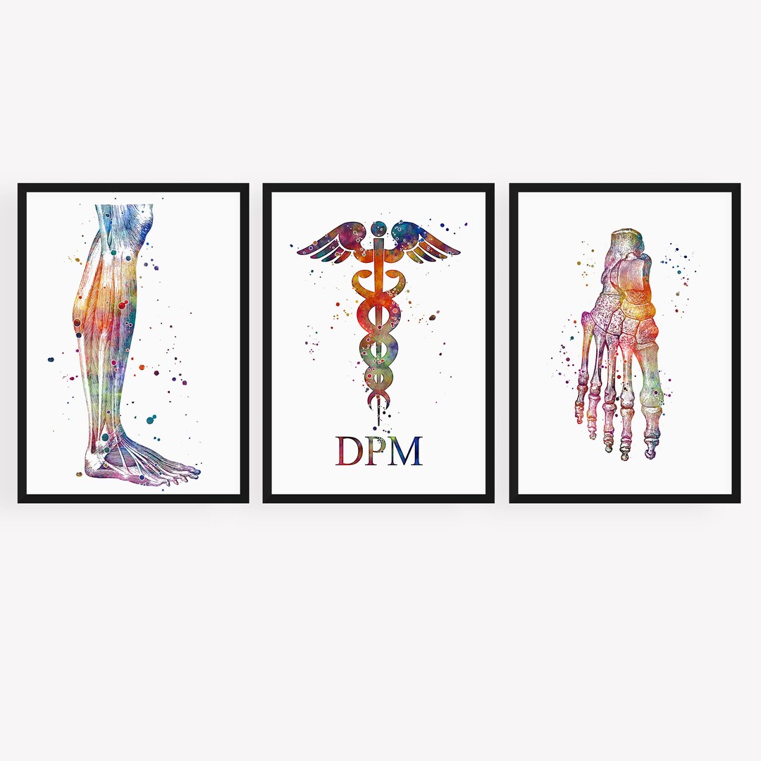 Podiatrist Gifts, Foot Anatomy Art Watercolor Prints, Podology Office ...