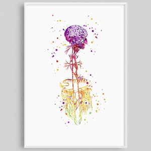 Neurosurgeon Gift, Vagus Nerve Watercolor Art Print, Neurology Art ...