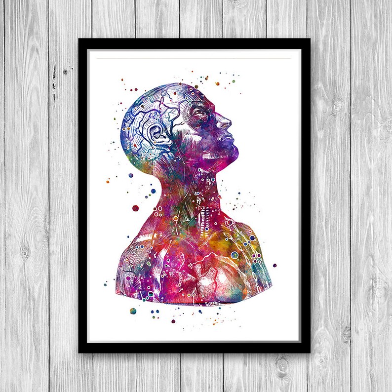 Human Anatomy Art Head and Neck Medical Watercolor Print | Etsy