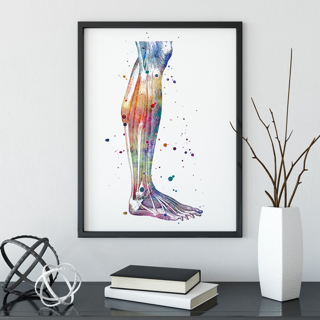 Human Leg Anatomical Print, Multicolored Watercolor Anatomy Artwork ...