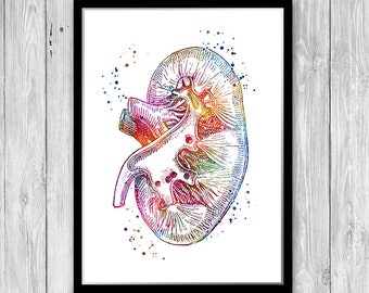 Kidney Transplant Gift - Etsy