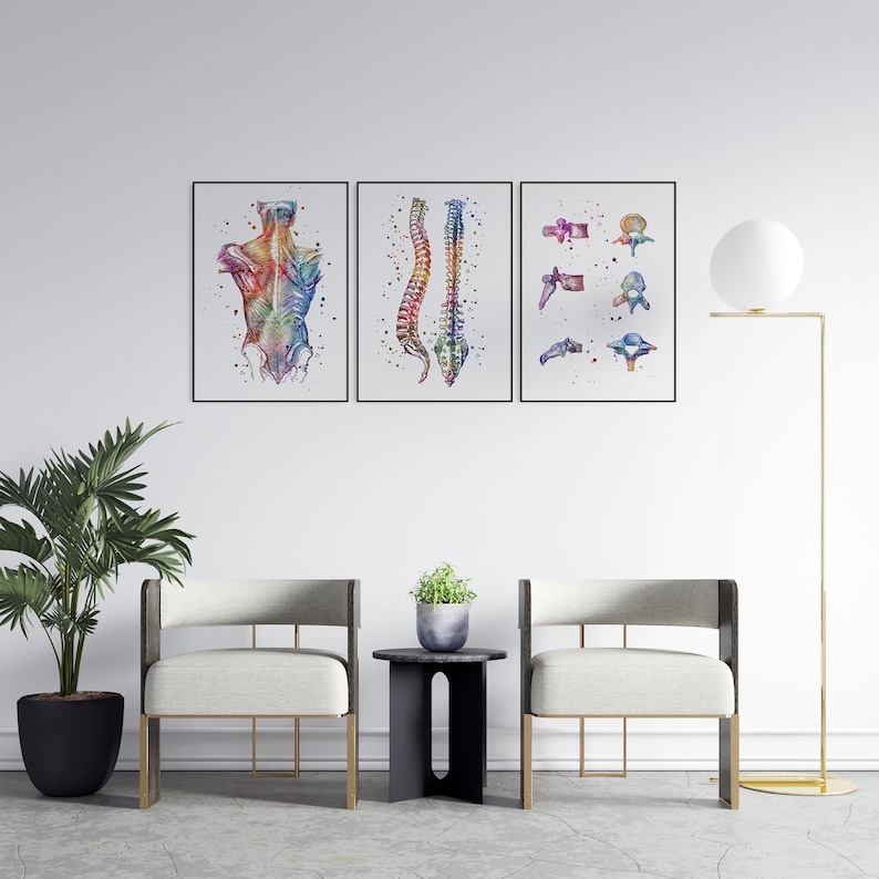 Physical Therapy Art, Set of 3 Watercolor Medical Posters, Chiropractic ...