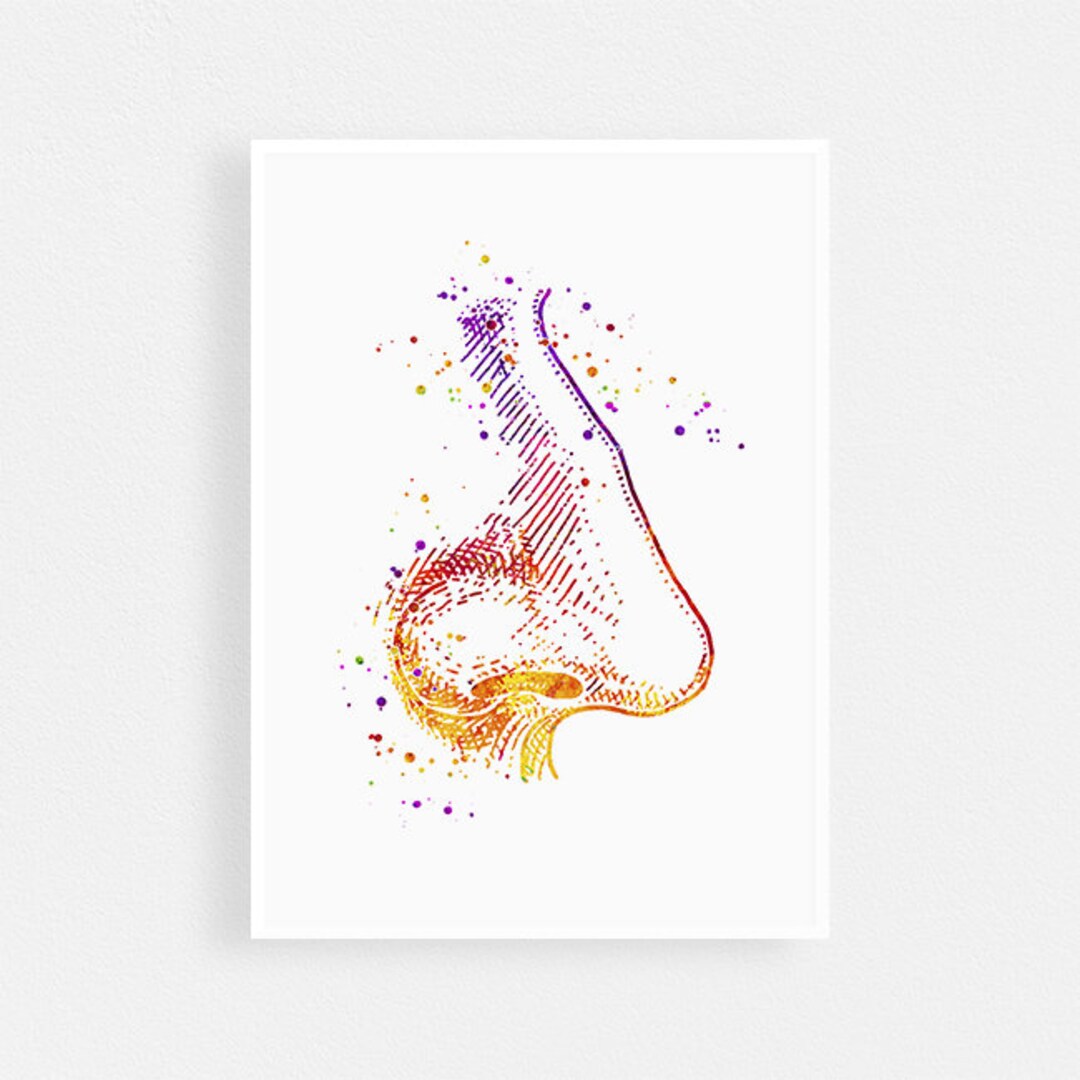 Nose Anatomy Art Print, Rhinology Art - Etsy