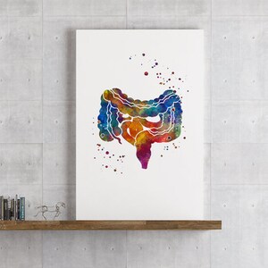 Large and Small Intestine Watercolor Print, Gi Tract Anatomical Poster ...
