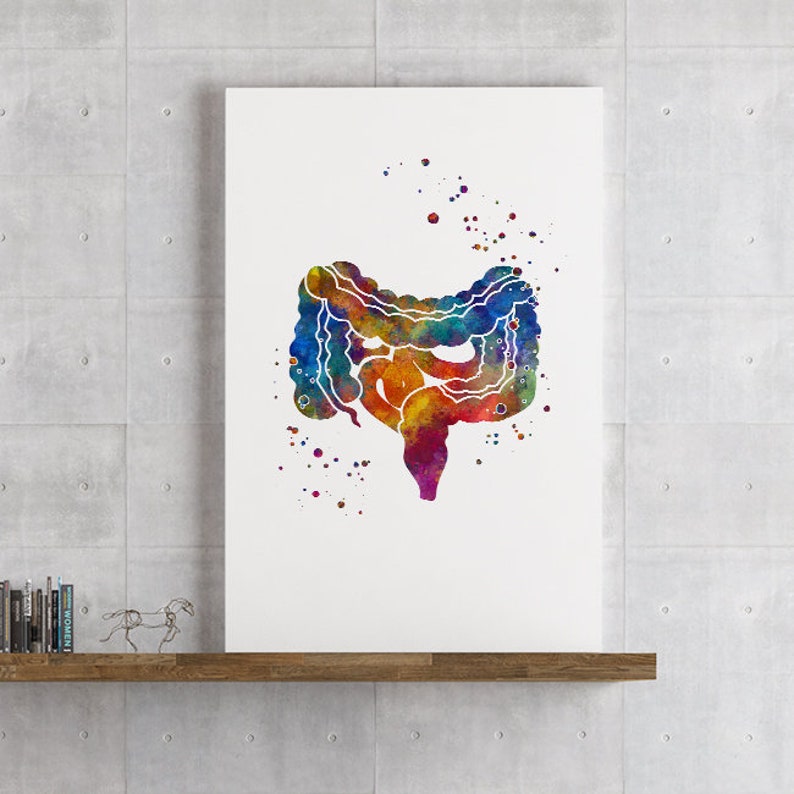 Large and Small Intestine Watercolor Print Gi Tract - Etsy