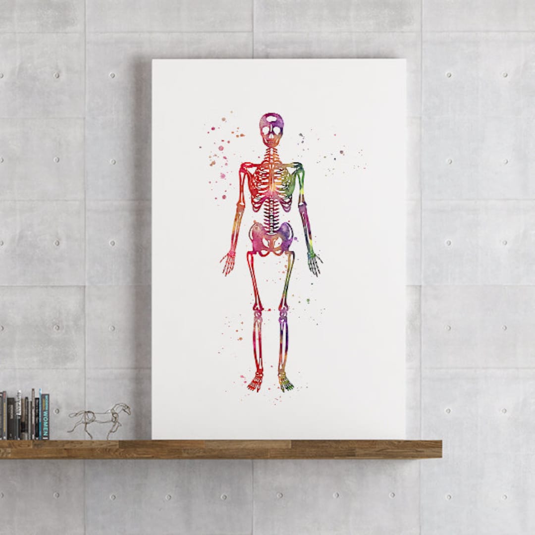 Chiropractic Art Human Skeleton Watercolor Print, Physical Therapy ...