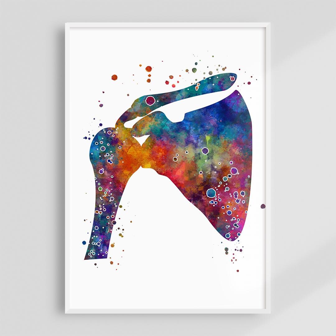 Human Anatomy Art Print, Shoulder Clavicle Scapula Joint Watercolor ...