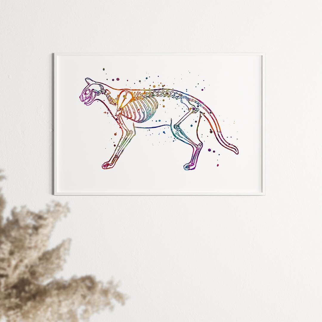 Cat Skeletal Anatomy Art Print, Veterinary Wall Decor Science Poster ...