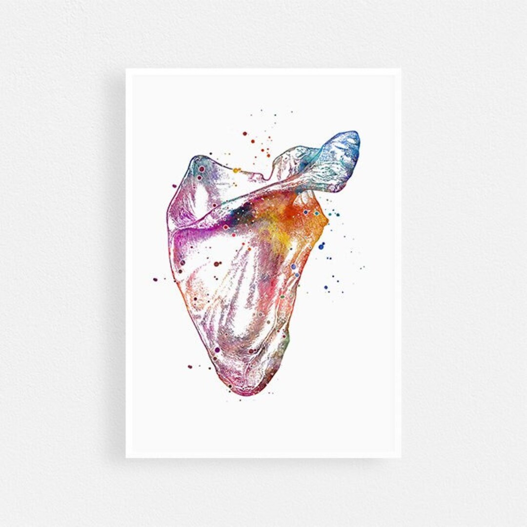 Scapula Watercolor Print Anatomy Art Doctor Orthopedic Surgeon Office ...