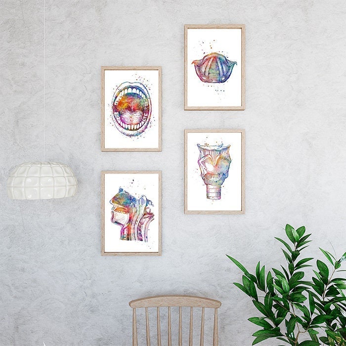 Speech Language Therapy Prints | Anatomy Art Set of 4 Multicolored ...