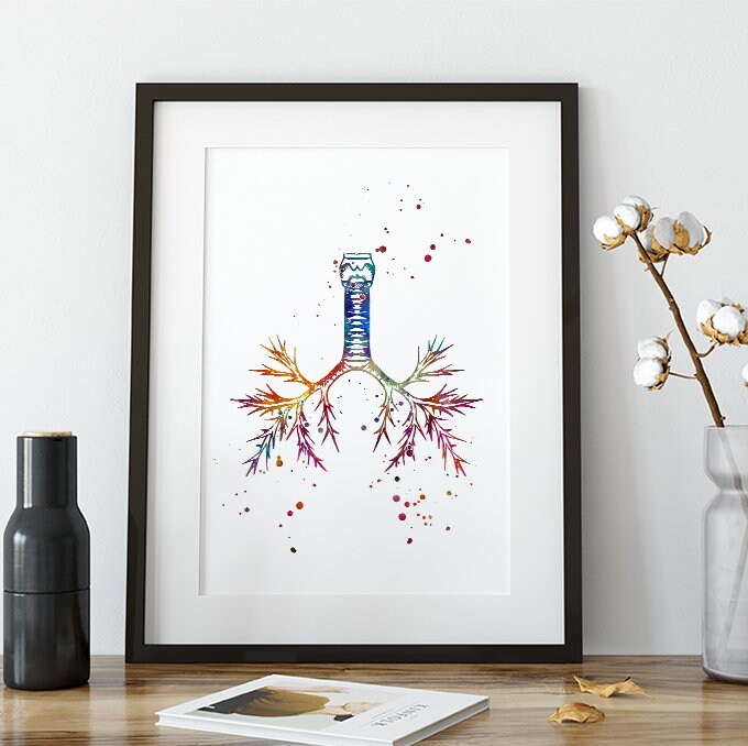 Trachea Windpipe Anatomy Art Watercolor Print Doctor Office | Etsy