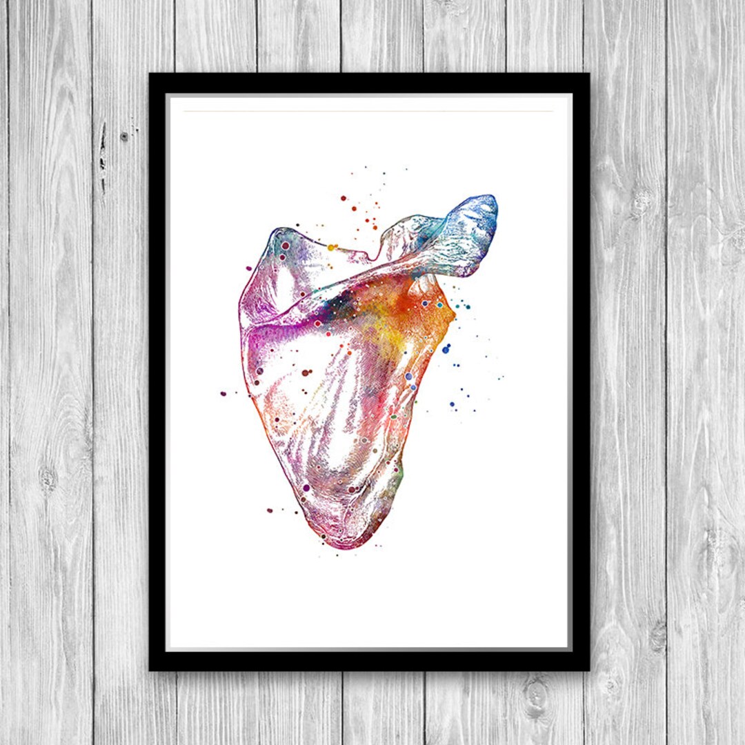 Scapula Watercolor Print Anatomy Art Doctor Orthopedic Surgeon - Etsy