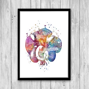 Human Anatomy Art, Internal Organs Watercolor Print, Internal Medicine ...