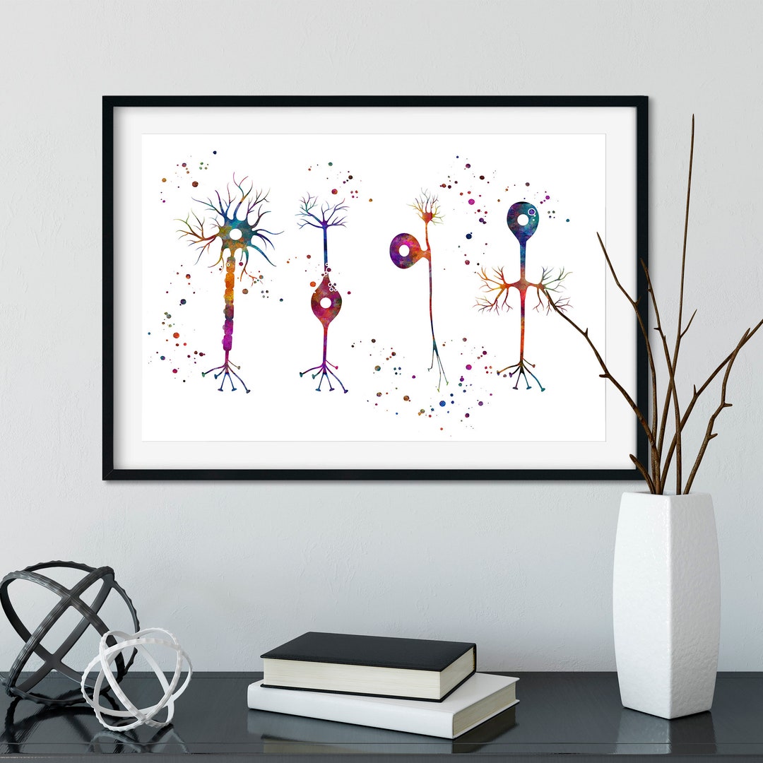 Types of Neurons Print, Neuroscience Watercolor Multicolored Artwork ...