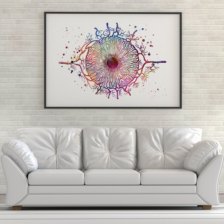 Iris Eye Anatomy Watercolor Print Optometry Ophthalmology Art | Etsy