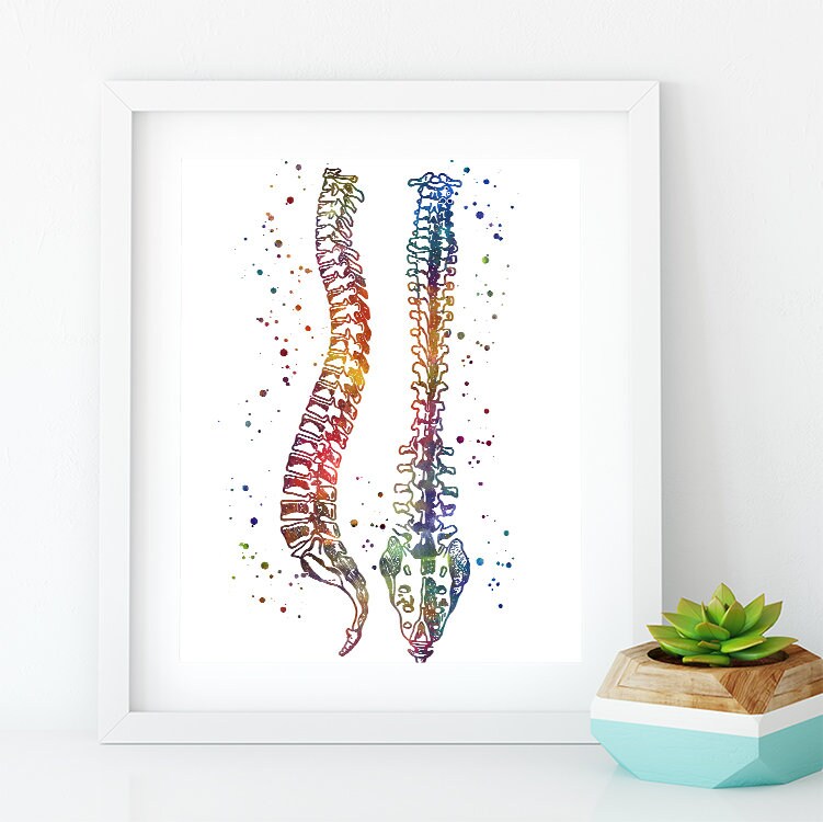 Chiropractic Clinic Decor Human Spine Watercolor Print Wall | Etsy