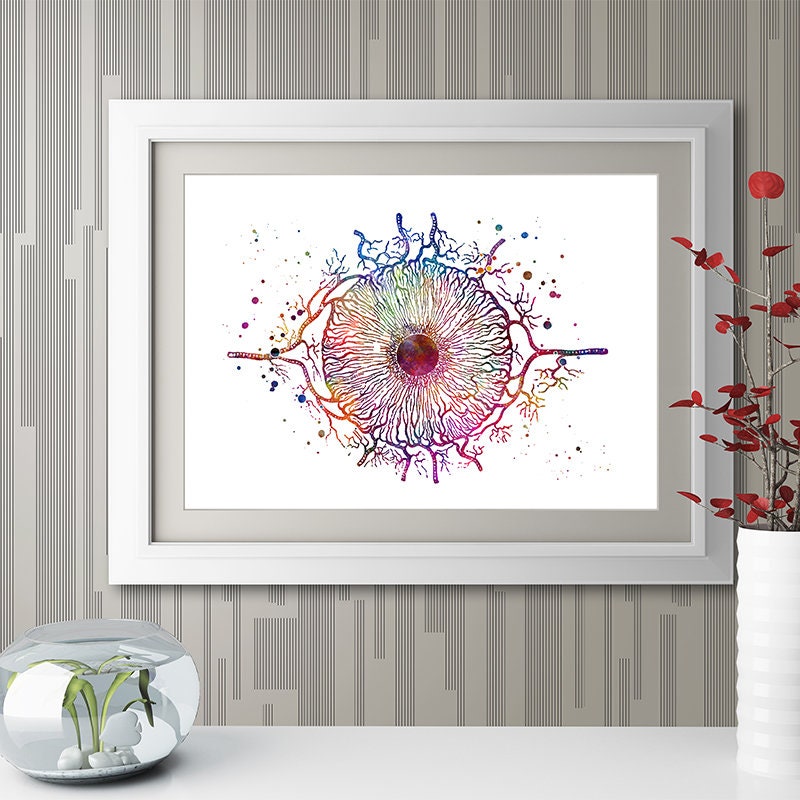 Iris Eye Anatomy Watercolor Print Optometry Ophthalmology Art | Etsy