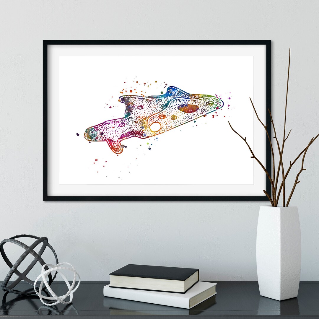 Amoeba Watercolor Print, Protozoology Art, Multicolored Vibrant Artwork ...
