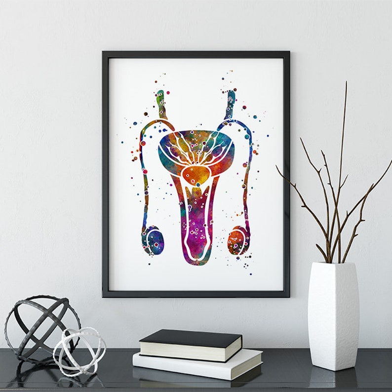 Male Anatomy Reproductive System Watercolor Print Urology Art | Etsy