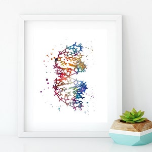 DNA Art Set of 3 Watercolor Prints A, B and Z Forms of DNA Biology ...