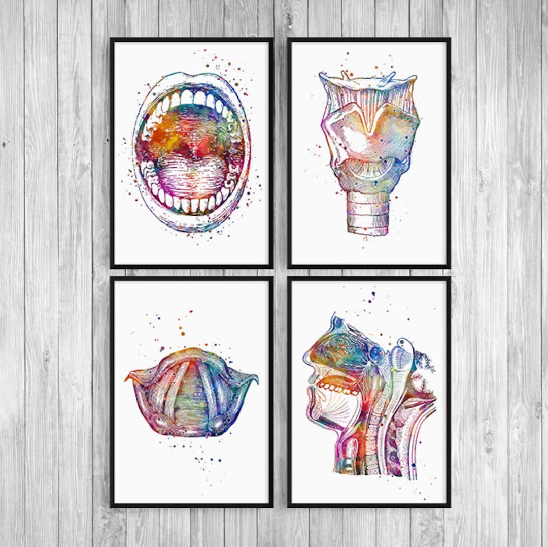 Speech Language Therapy Prints | Anatomy Art Set of 4 Multicolored ...