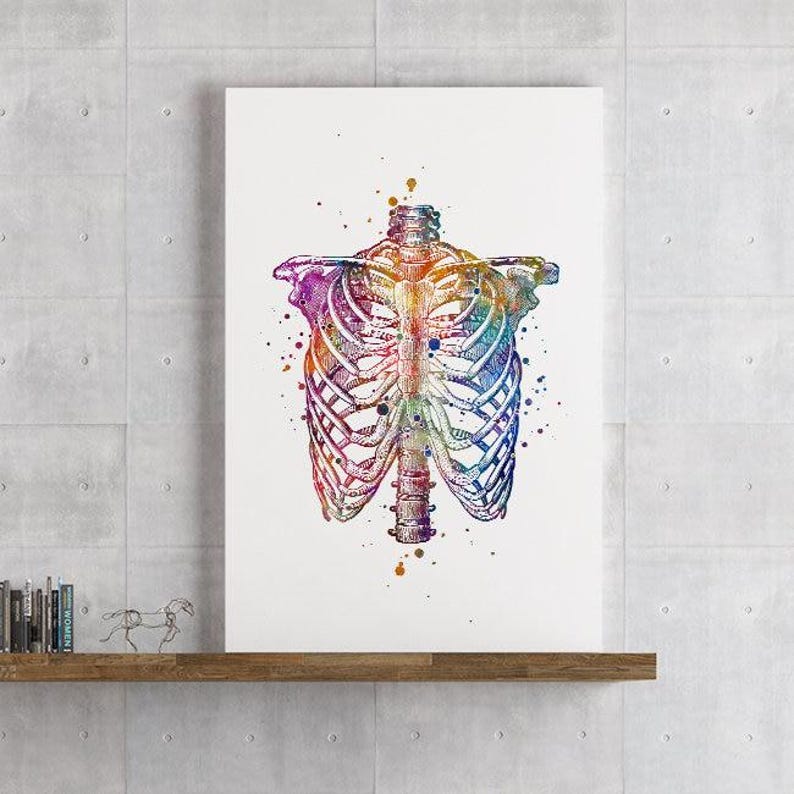 Rib Cage Art Print, Human Chest Skeleton Thorax Colorful Watercolor ...