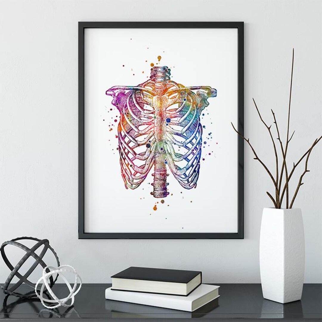 Rib Cage Art Print, Human Chest Skeleton Thorax Colorful Watercolor ...