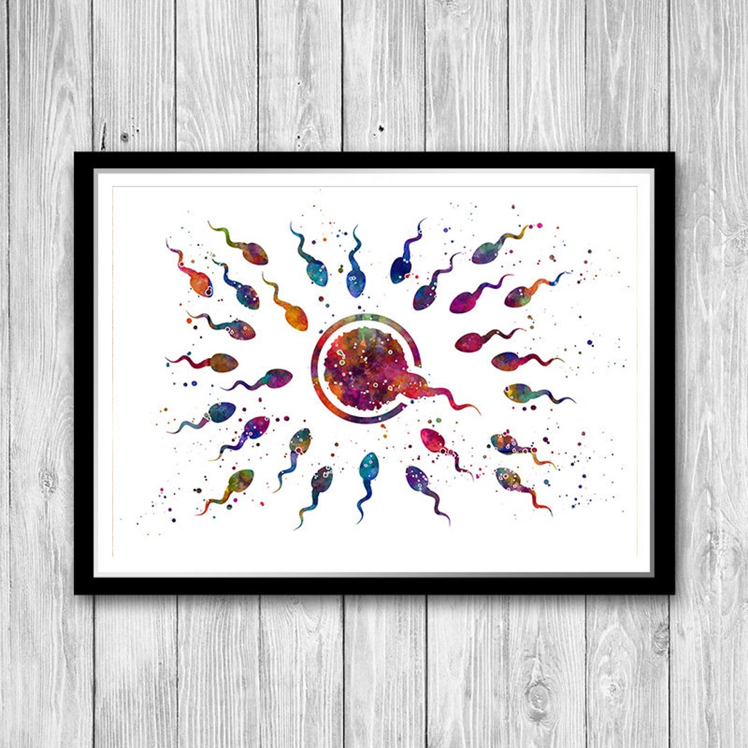 Human Fertilization Egg and Sperm Watercolor Art Print Fertility Clinic ...
