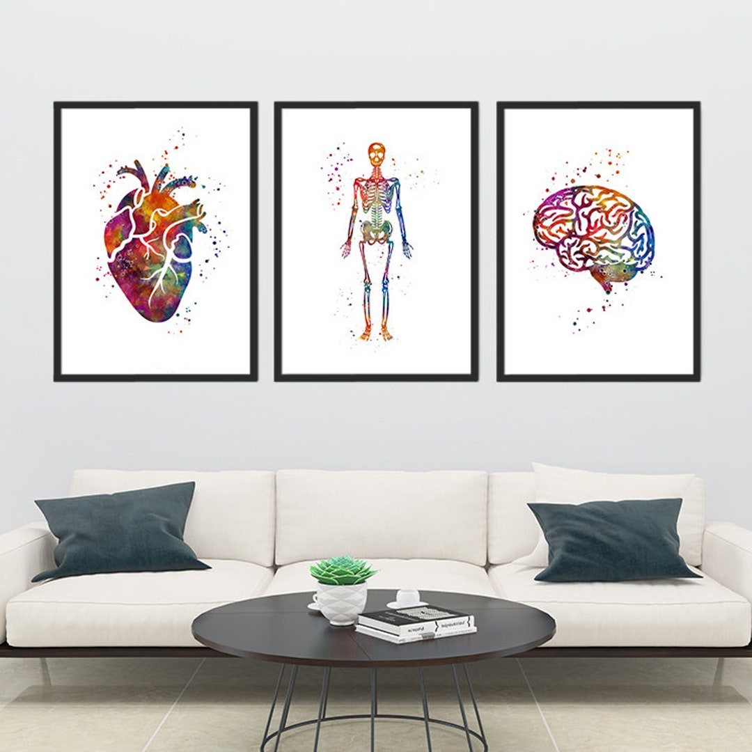 Human Anatomy Art, Anatomical Heart Brain and Skeleton, Set of 3 ...