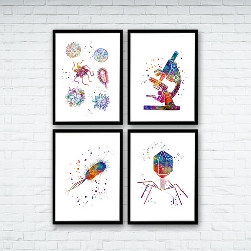 Science Decor Microbiology Art Set of 4 Watercolor Prints Wall - Etsy