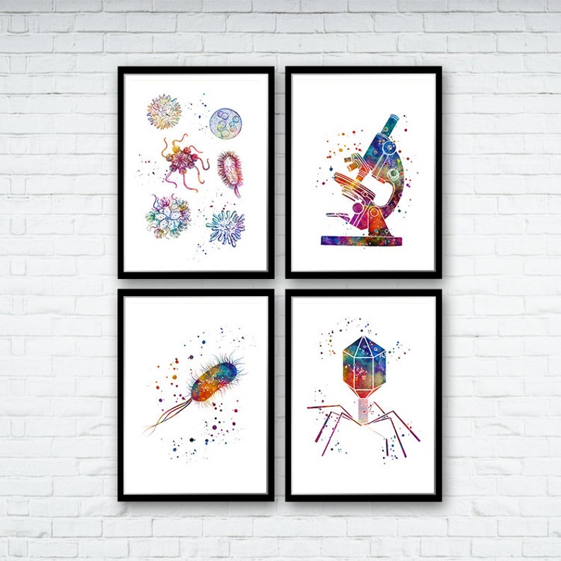 Science Decor Microbiology Art Set of 4 Watercolor Prints Wall | Etsy UK